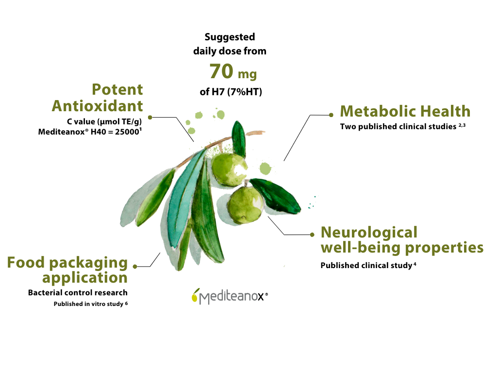 Olive fruit extract | Euromed