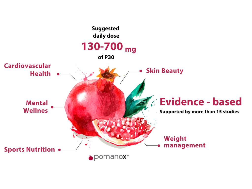 Pomegranate fruit extract - Euromed - Nature and Science
