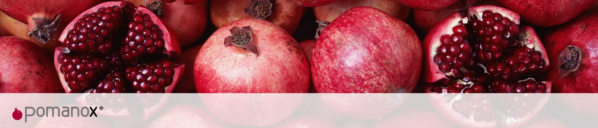 Pomegranate fruit extract - Euromed - Nature and Science