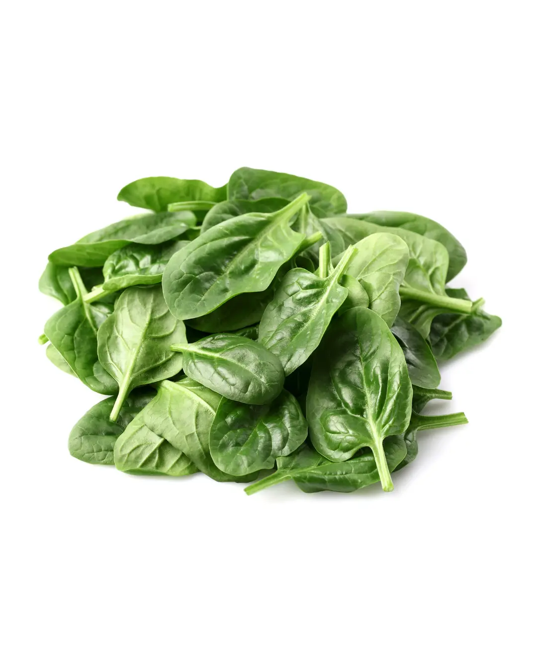 Spinach leaf extract | Euromed