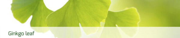 Ginkgo Leaf Dry Extract | Euromed