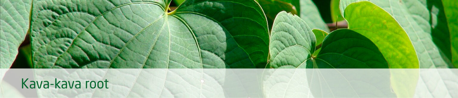 Kava-kava root – Dry Extract | Euromed